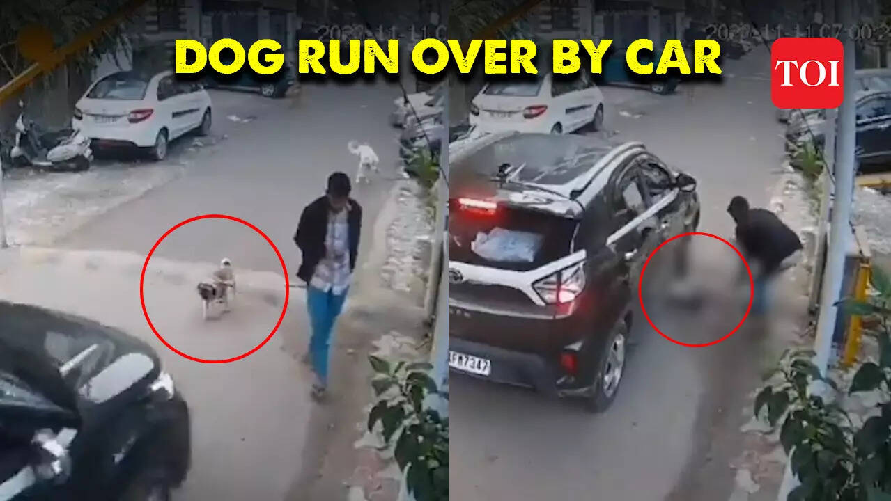 CCTV: Car driver runs over pet dog in Ghaziabad's Indirapuram