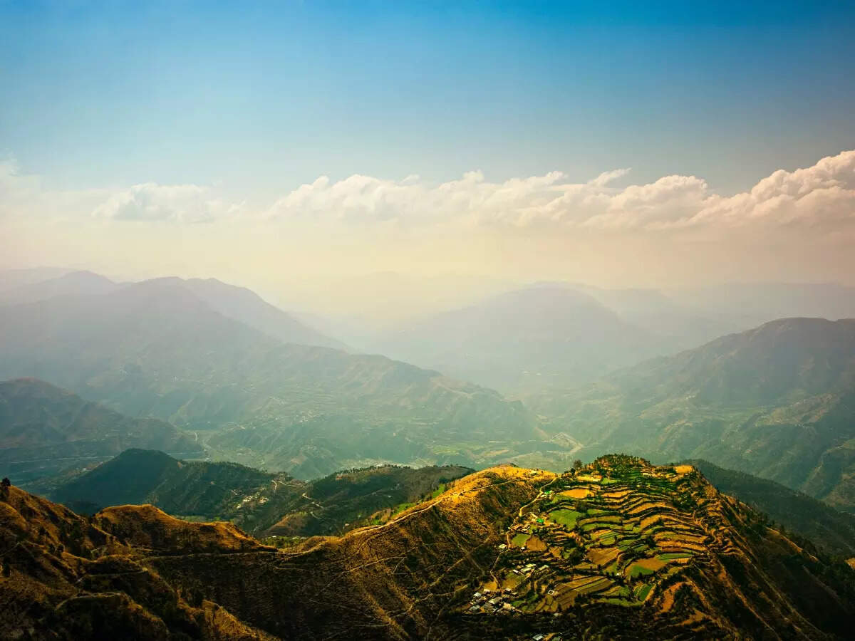 Chail Palace: The royal experience in Himachal Pradesh, Himachal ...