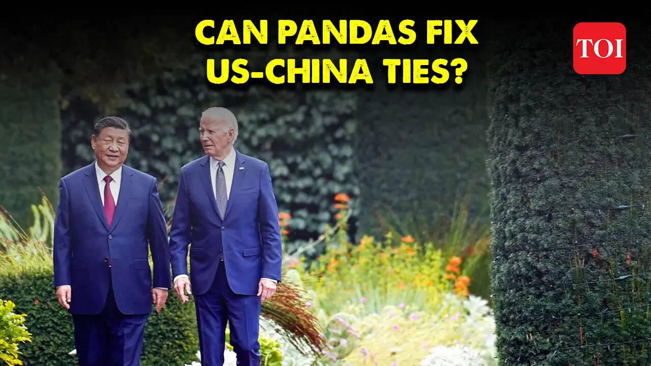 Chinese President Xi Jinping signals improved US-China ties through ...