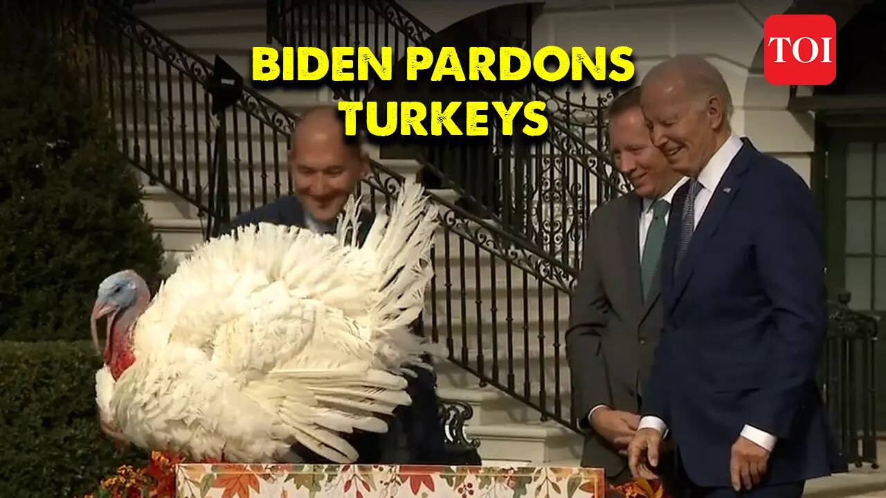 US President Joe Biden pardons turkeys 'Liberty' and 'Bell' in Annual ...