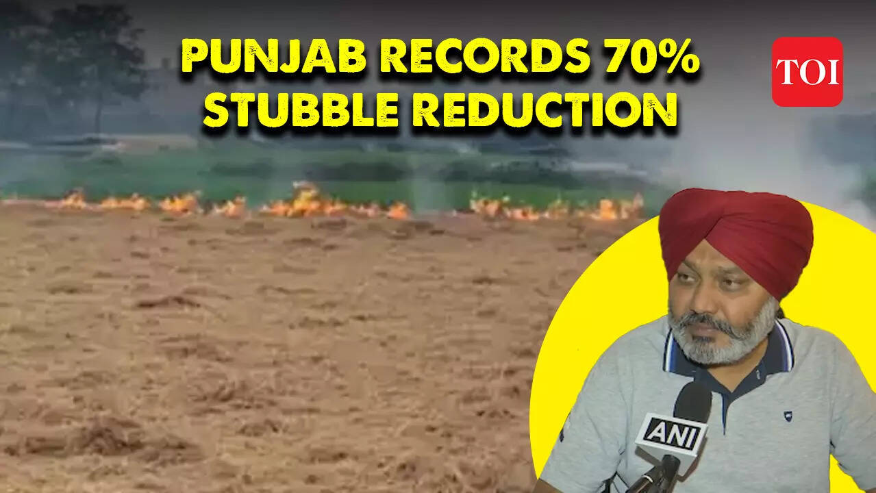 'Why is Centre not helping farmers?' Punjab finance minister slams Modi ...