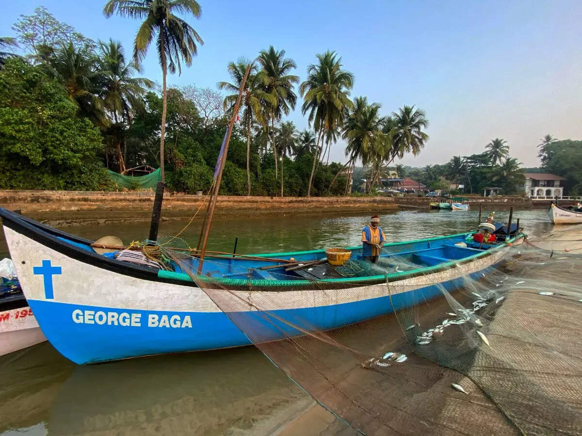 Chorao Island: The island life in Goa you need to experience, - Times ...
