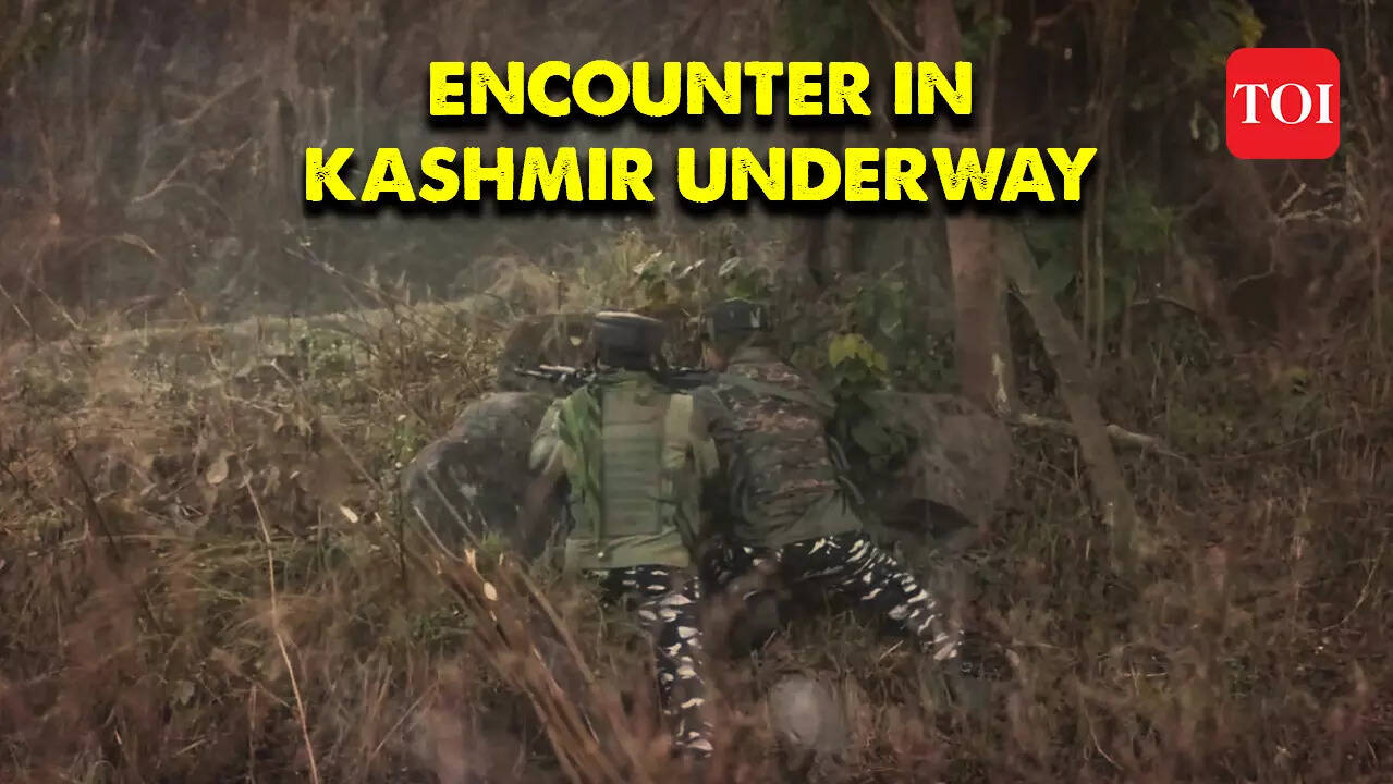 Encounter underway in J&K's Rajouri, a day after 4 army personnel martyred; 2 terrorists still ...