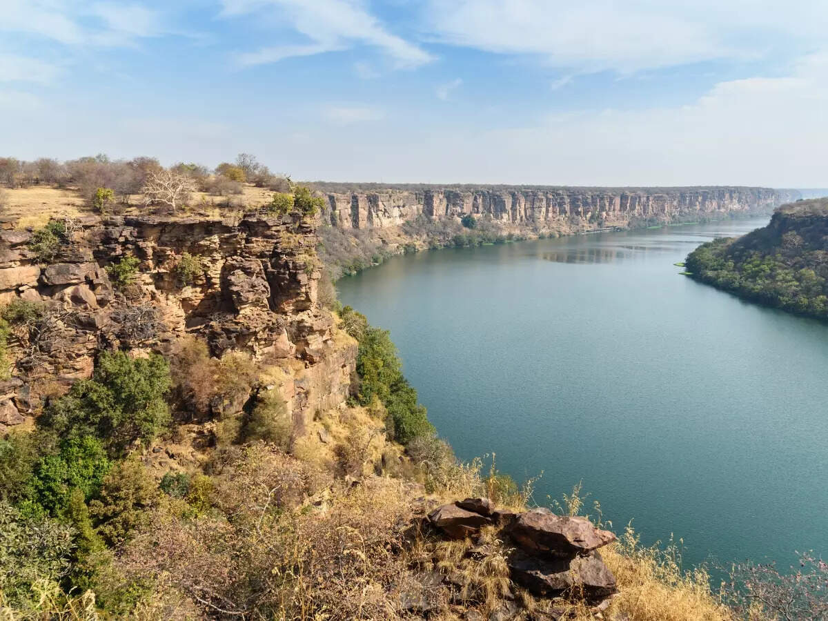 River and its gharials–rich biodiversity of National Chambal Sanctuary ...