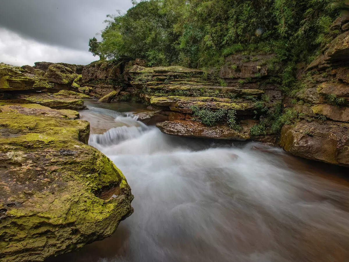 Meghalaya’s historic David Scott Trail and tales from the sacred groves ...