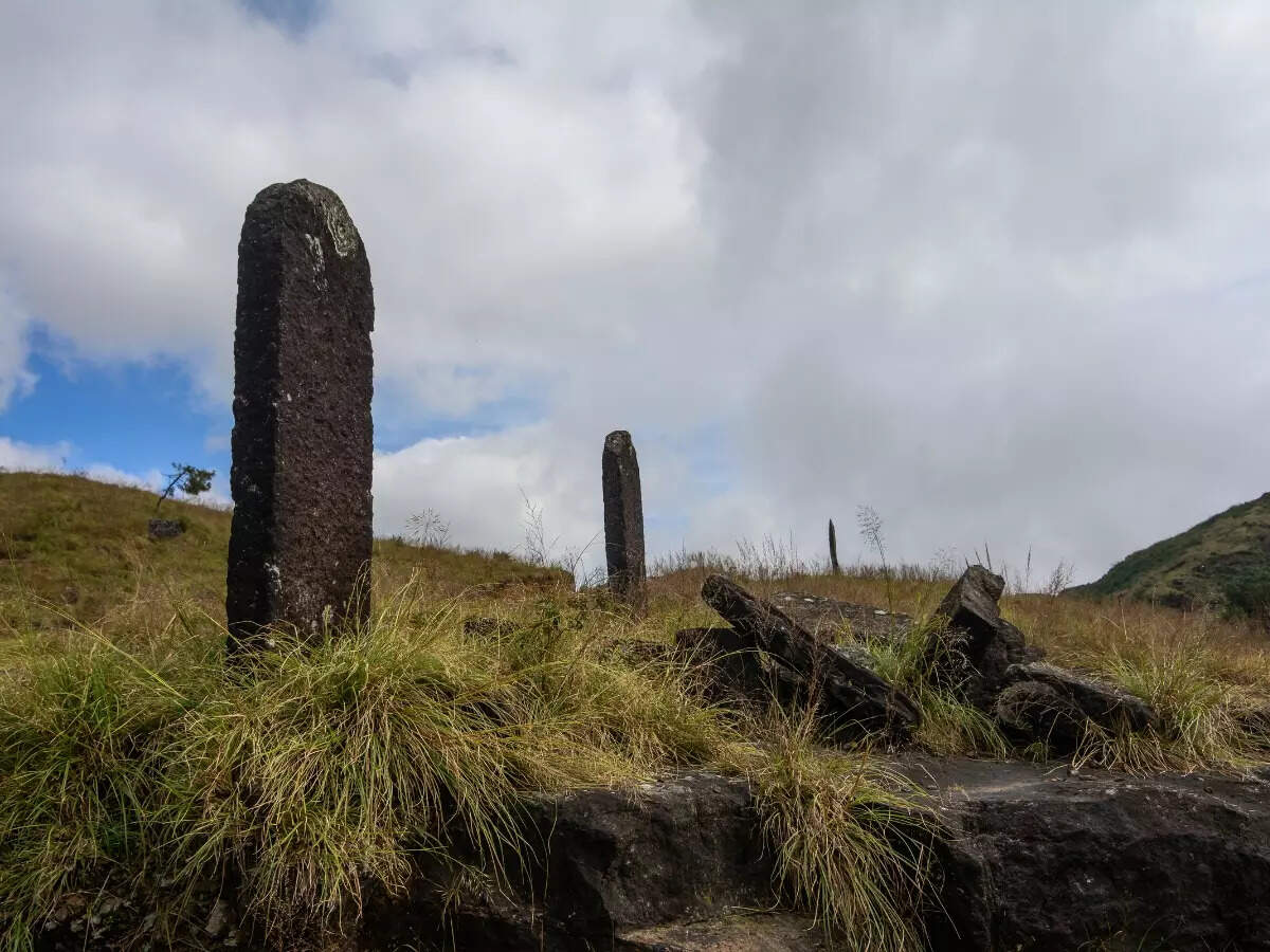 Meghalaya’s historic David Scott Trail and tales from the sacred groves ...