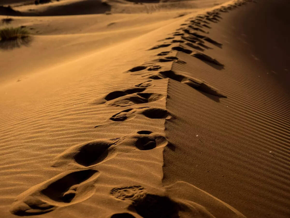Sam Sand Dunes, Jaisalmer: Dunes of fun and adventure | Times of India ...