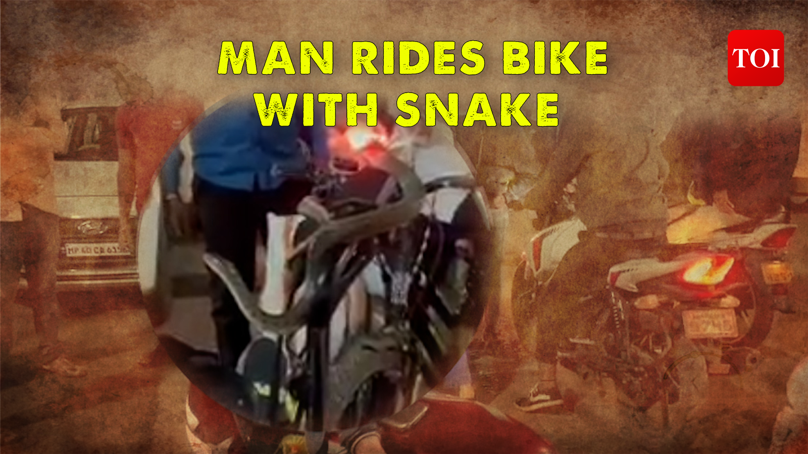 Man finds snake while driving bike in MP's Ganj Basoda, video goes viral