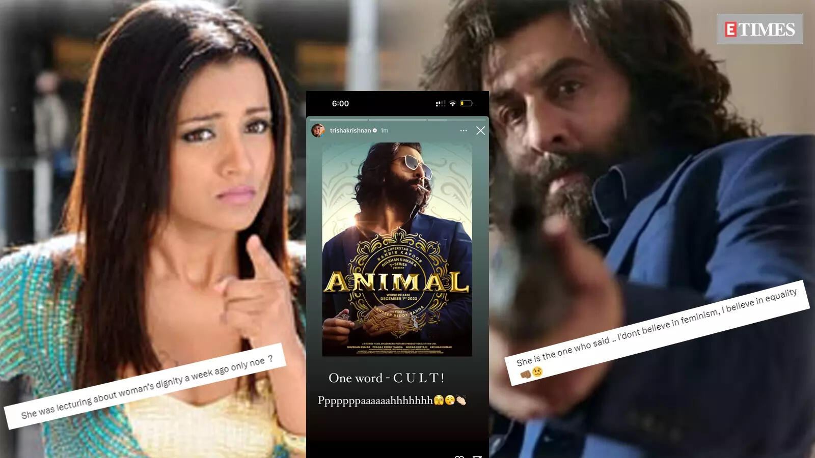 Trisha Krishnan faces backlash for calling Ranbir Kapoor's 'Animal', a ...