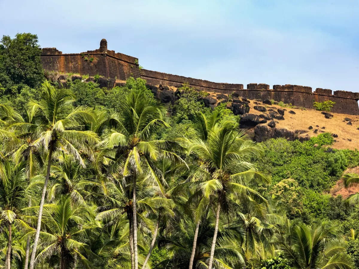 What makes South Goa a paradise for solitude seekers?, Goa - Times of ...