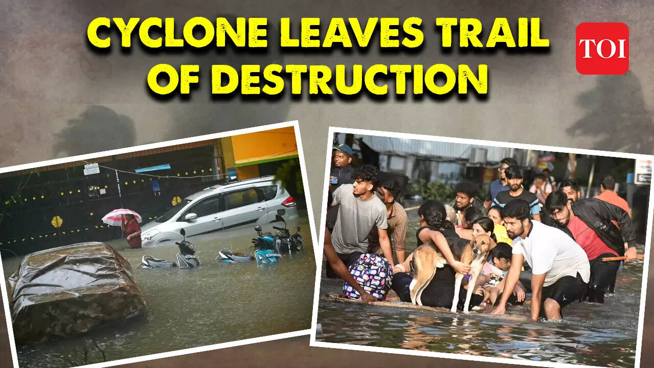 Cyclone Michaung Aftermath: 17 dead,1000s evacuated, standing crops ...