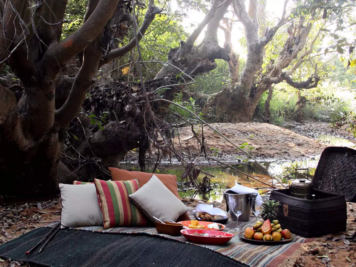 Call of the wild: 8 forest resorts in India for that unforgettable ...