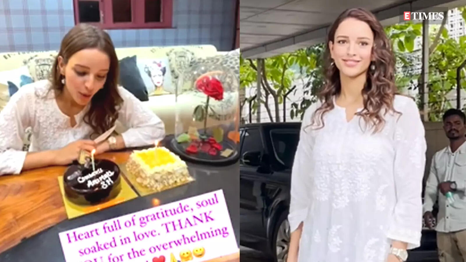 Animal actress Triptii Dimri celebrates the film’s success; expresses ...