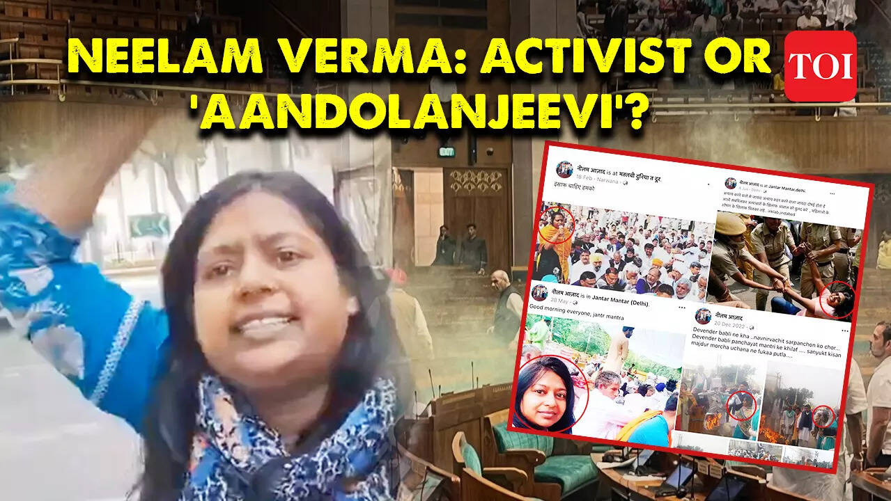 Neelam Verma: The highly qualified but unemployed accused in Parliament ...