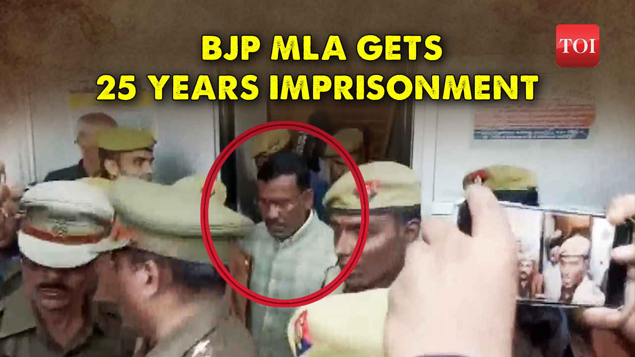 Uttar Pradesh BJP MLA Ramdular Gond gets a 25-year jail term for minor girl’s rape