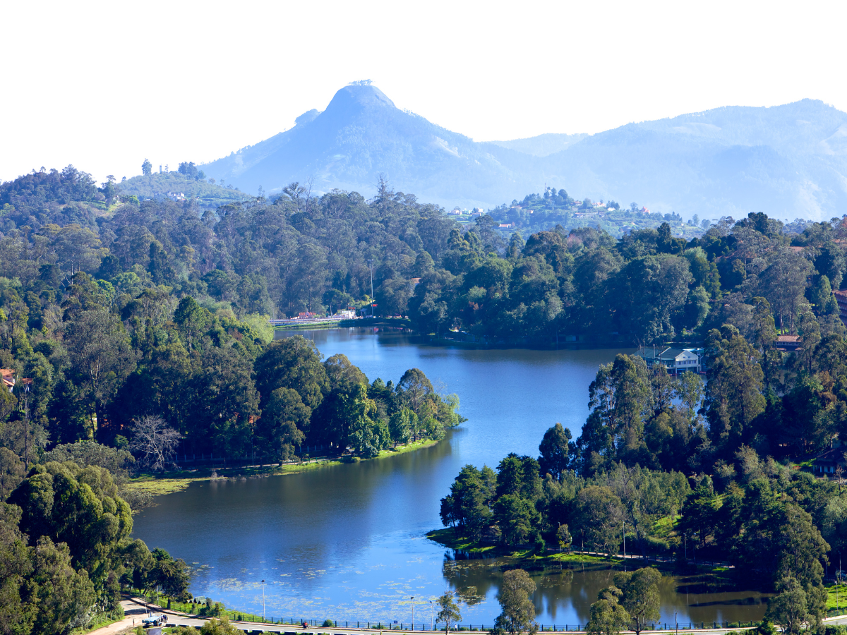 Serene hill stations to visit in India to ring in the New Year, India ...