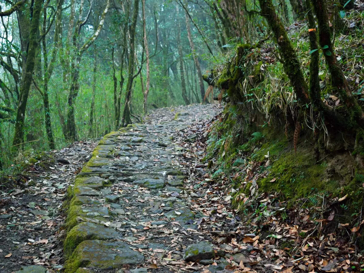 Seven secret mountain treks in the mighty Himalayas, India - Times of ...