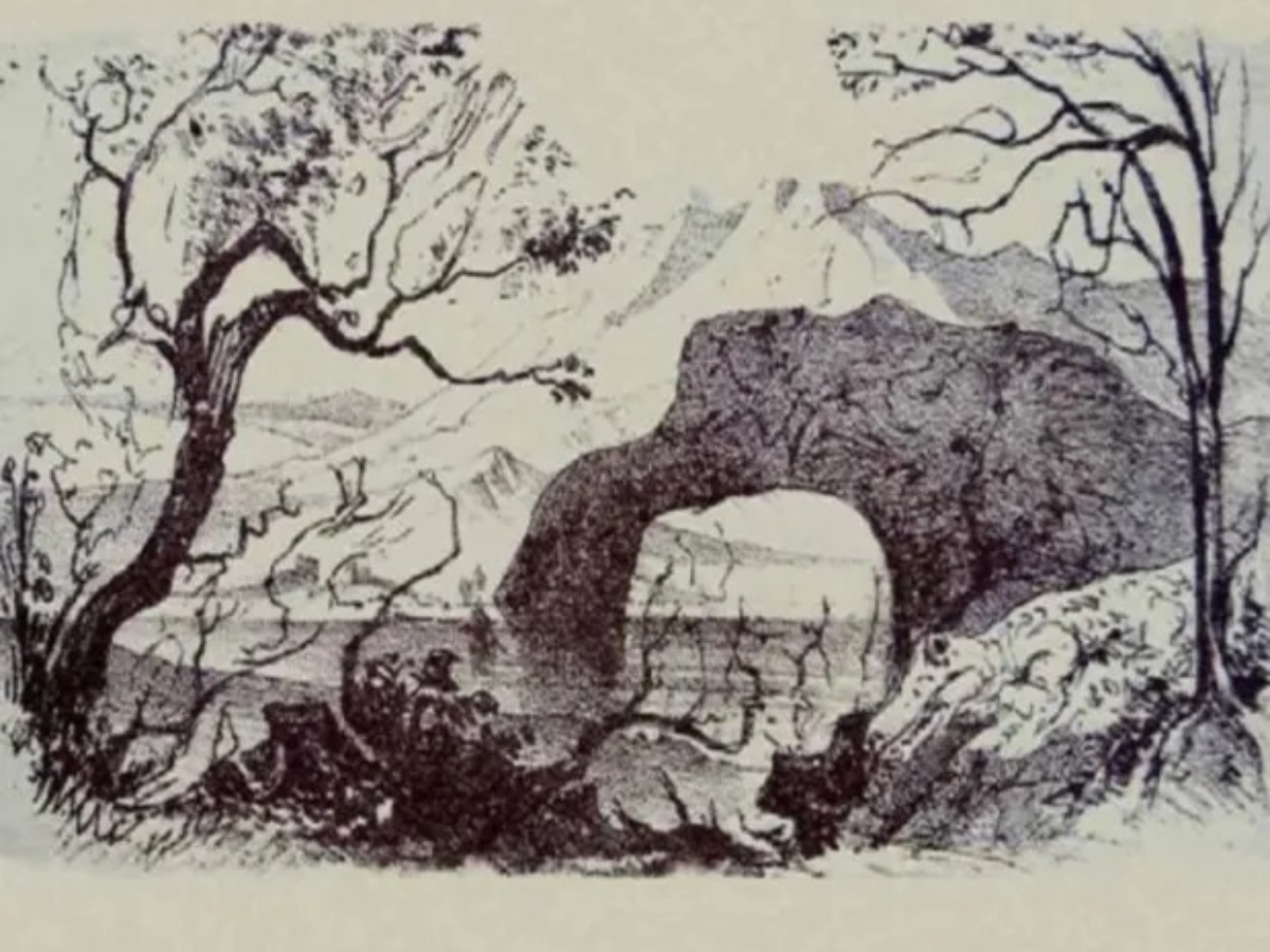 Only those with sharp observation can spot all the 10 animals hidden in ...