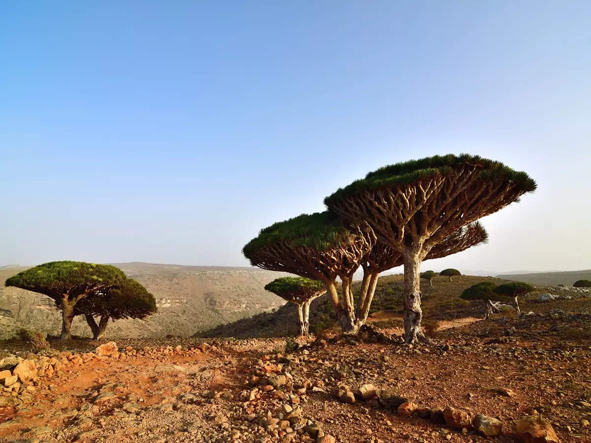 Most isolated places in the world you need to know about, World - Times ...