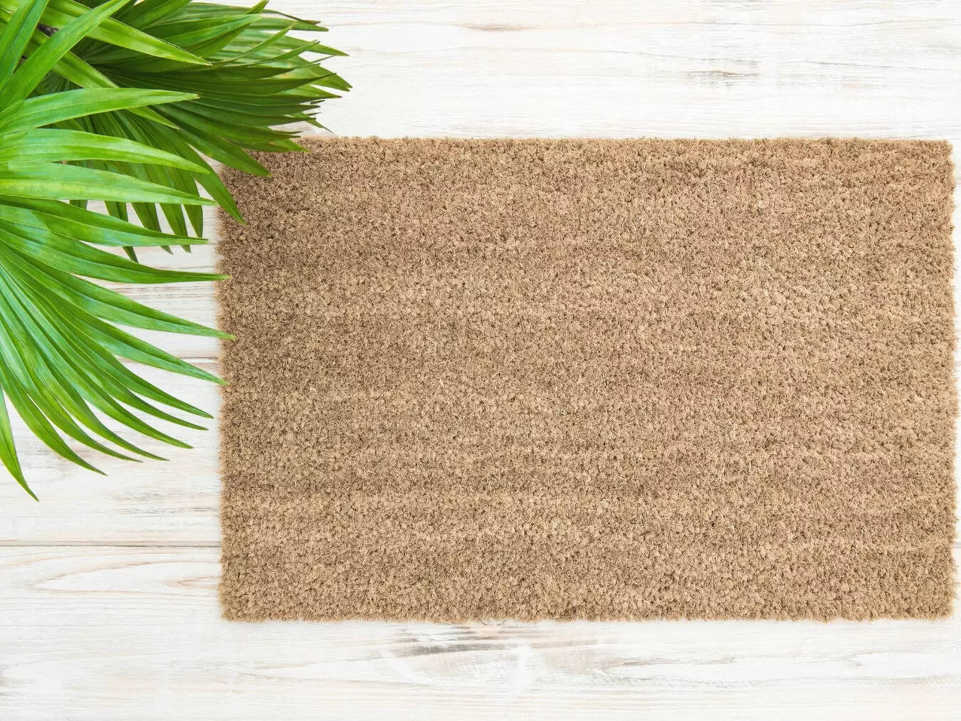 What should you buy from Kochi?, Kochi - Times of India Travel