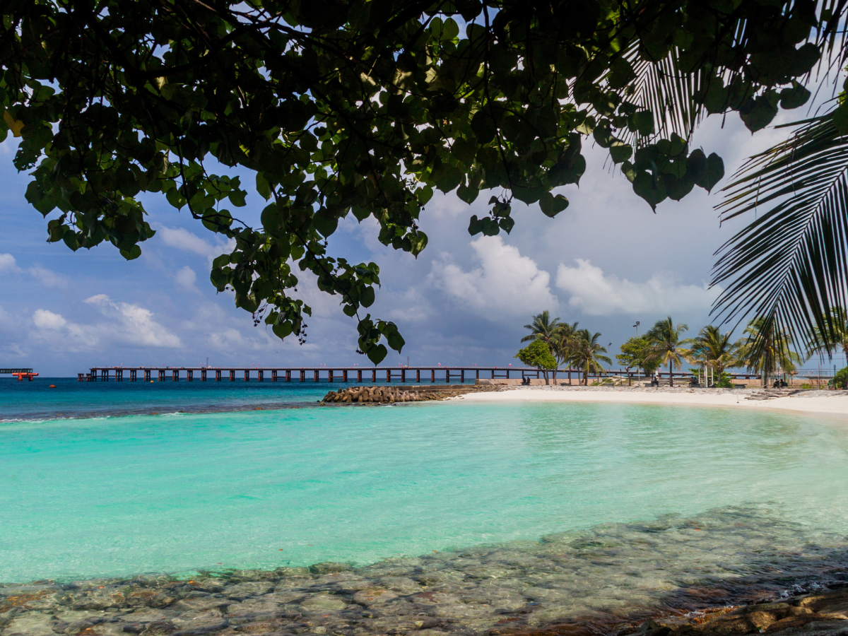 World’s most incredible man-made beaches, World - Times of India Travel