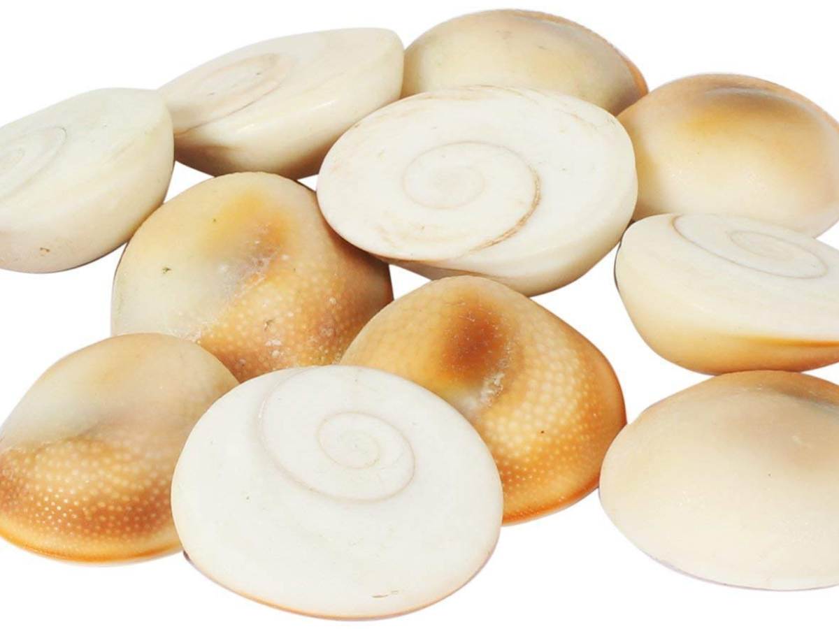 How to use Gomti Chakra for a good career and business