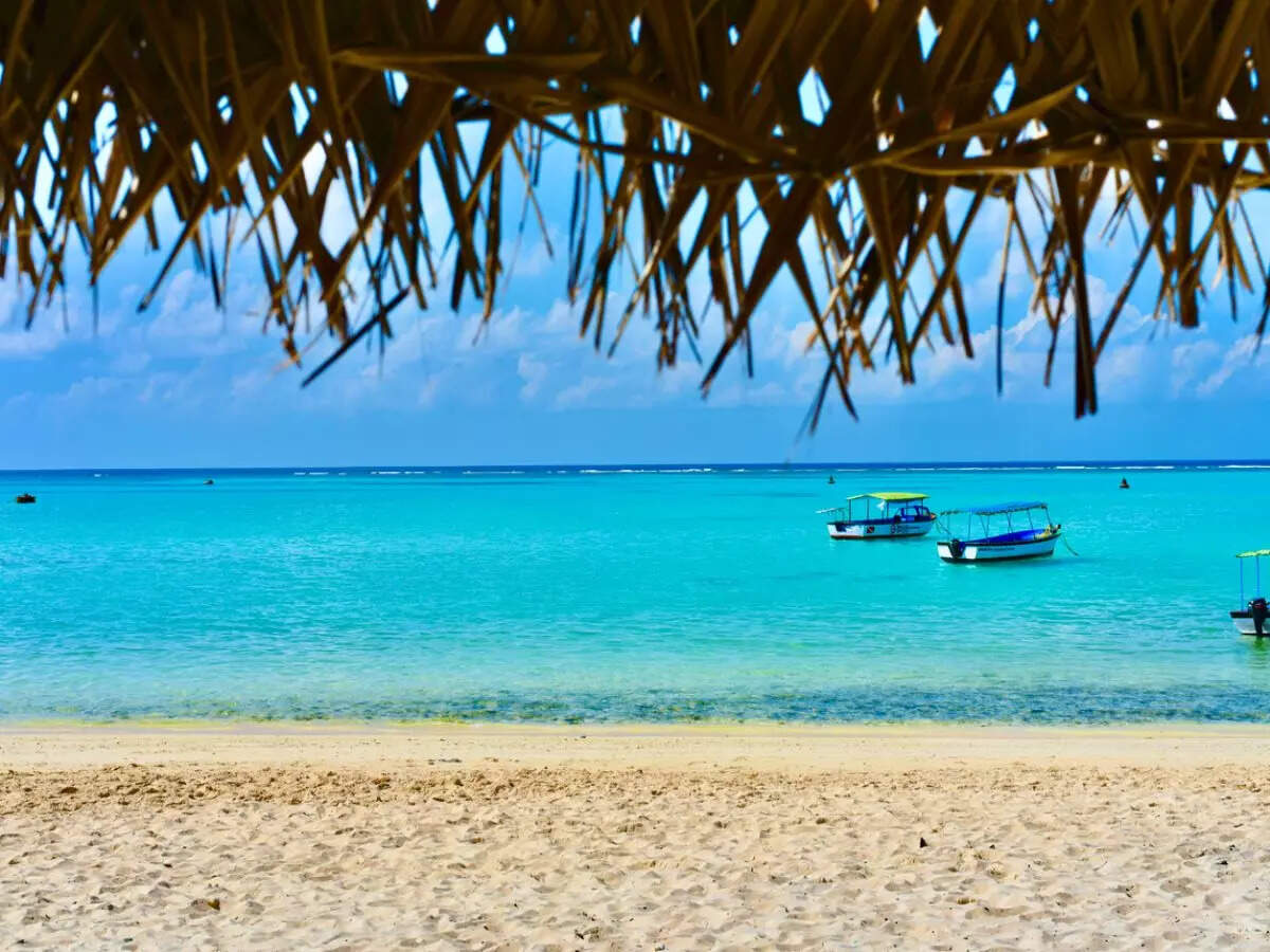 Exploring Lakshadweep's hidden gems: Main attractions to enjoy at the island, Lakshadweep ...