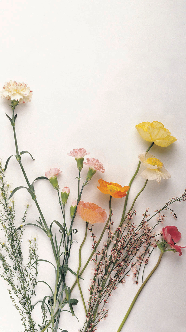 What Flower Represents Life