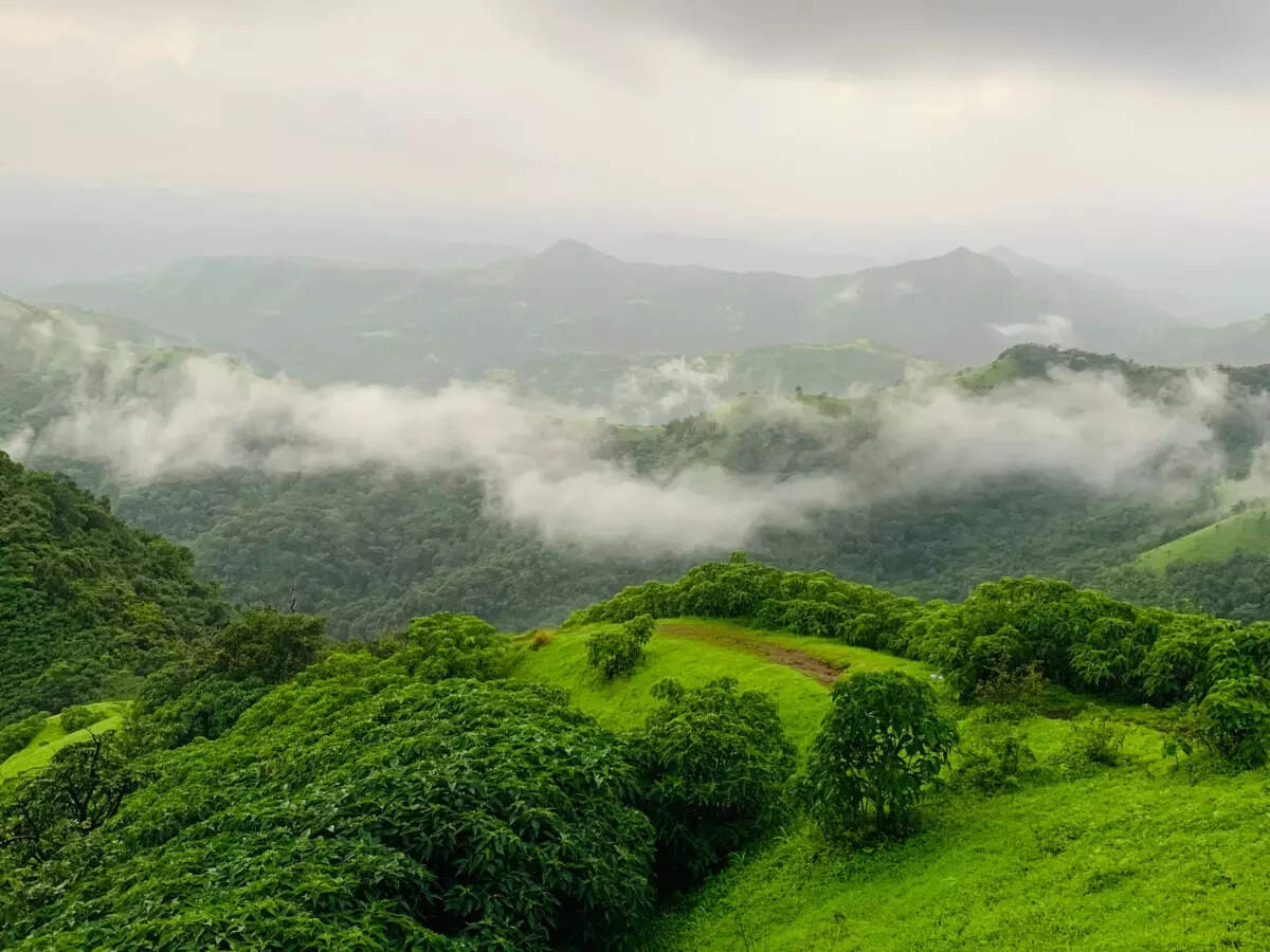 8 things that make India’s Western Ghats fascinating, India - Times of ...