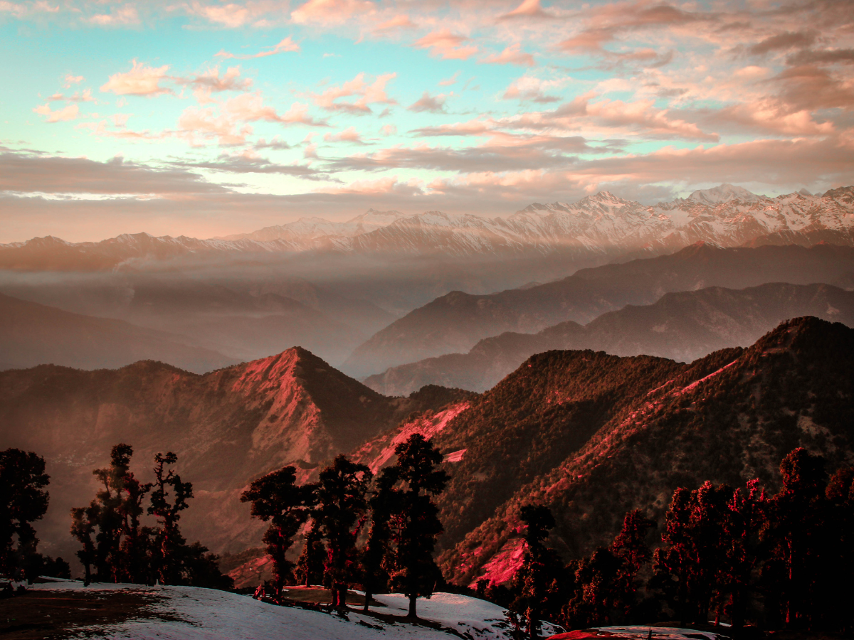 Chopta, a serene haven to explore in the Himalayas, Himachal Pradesh ...