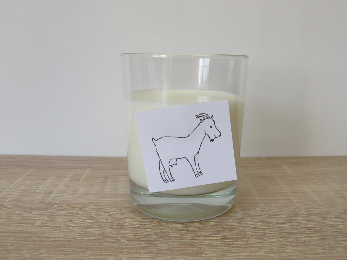 Goat milk: 6 reasons to switch to this nutritious milk