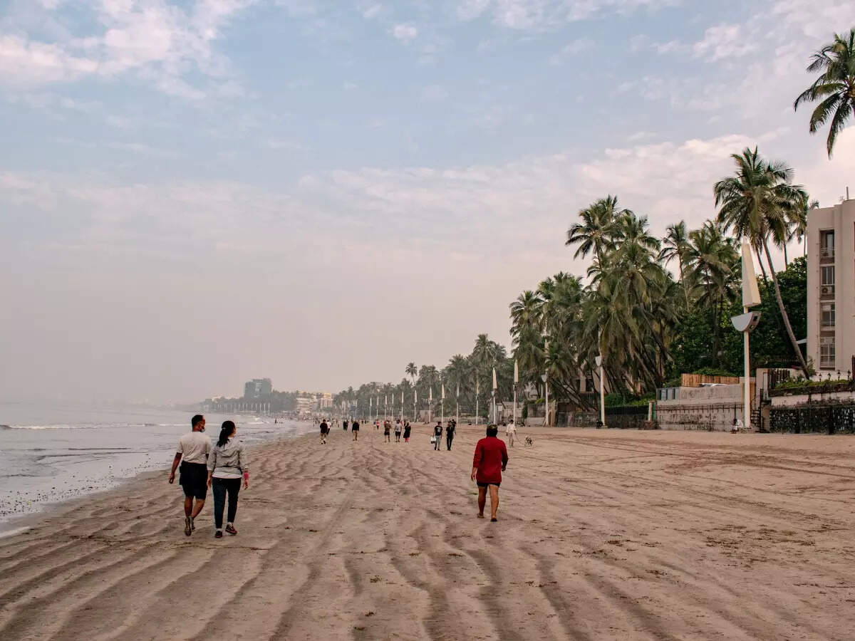Exploring beautiful beaches near Mumbai | Times of India Travel