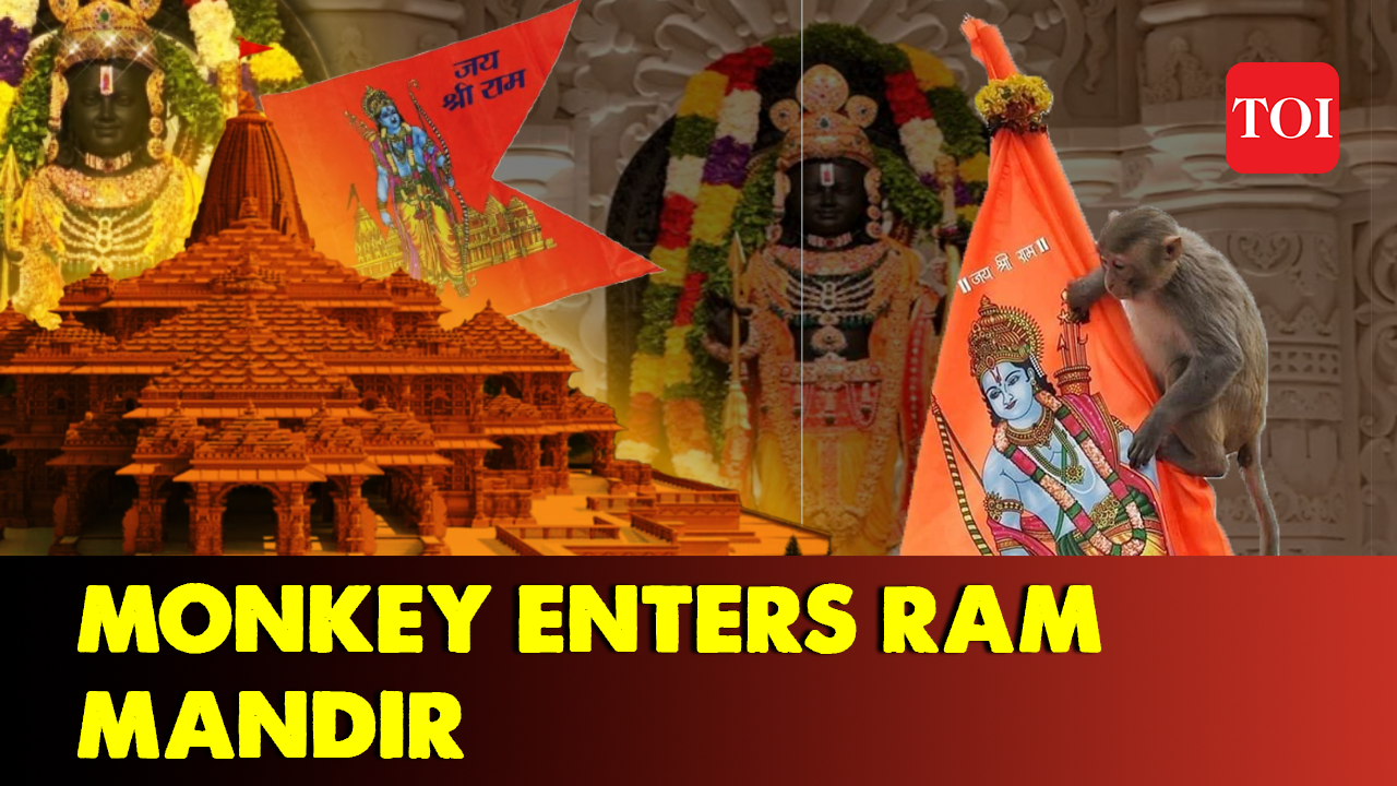 Watch: What happened when 'Hanuman Ji himself..' visits Ayodhya Ram Temple