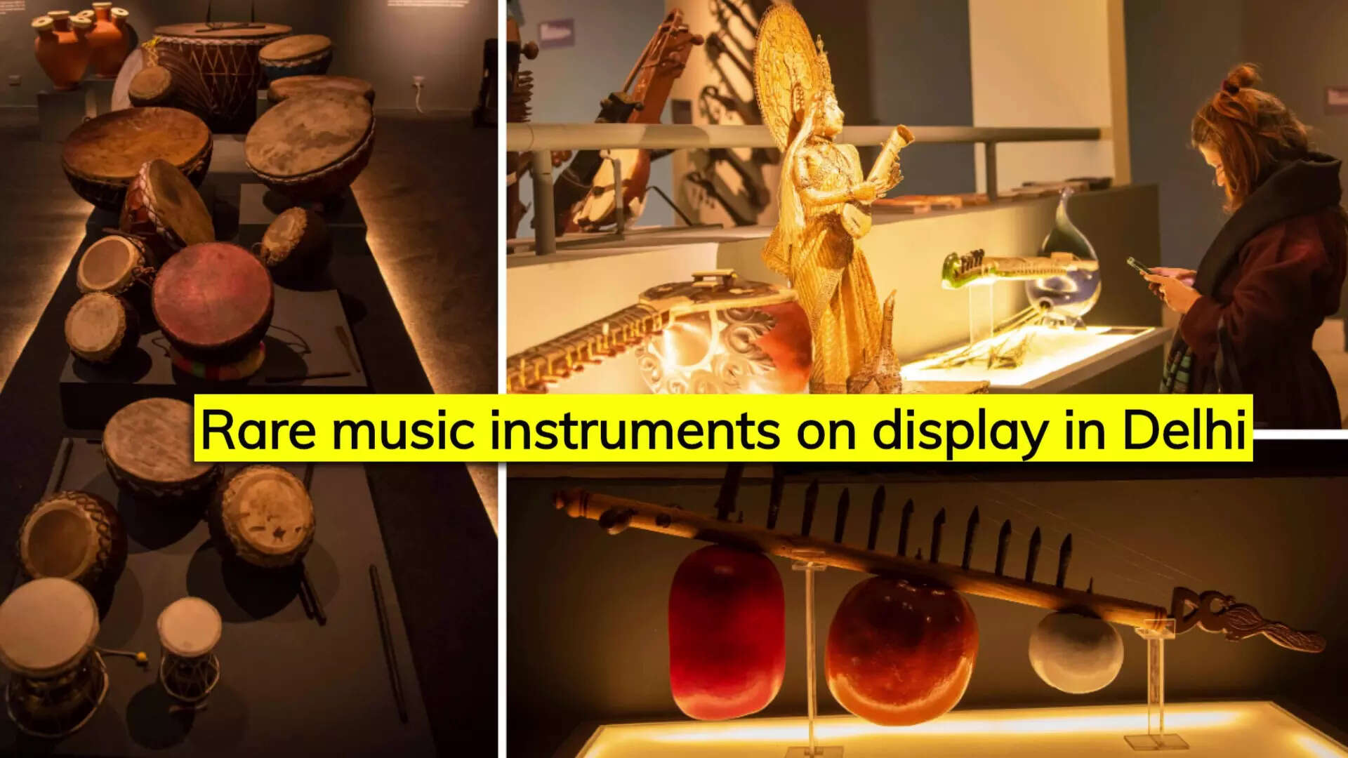 Rare musical instruments on display in Delhi