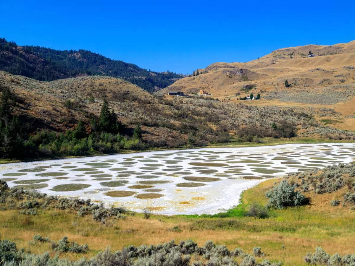 Exploring the enchanting spotted lake of British Columbia | Times of ...