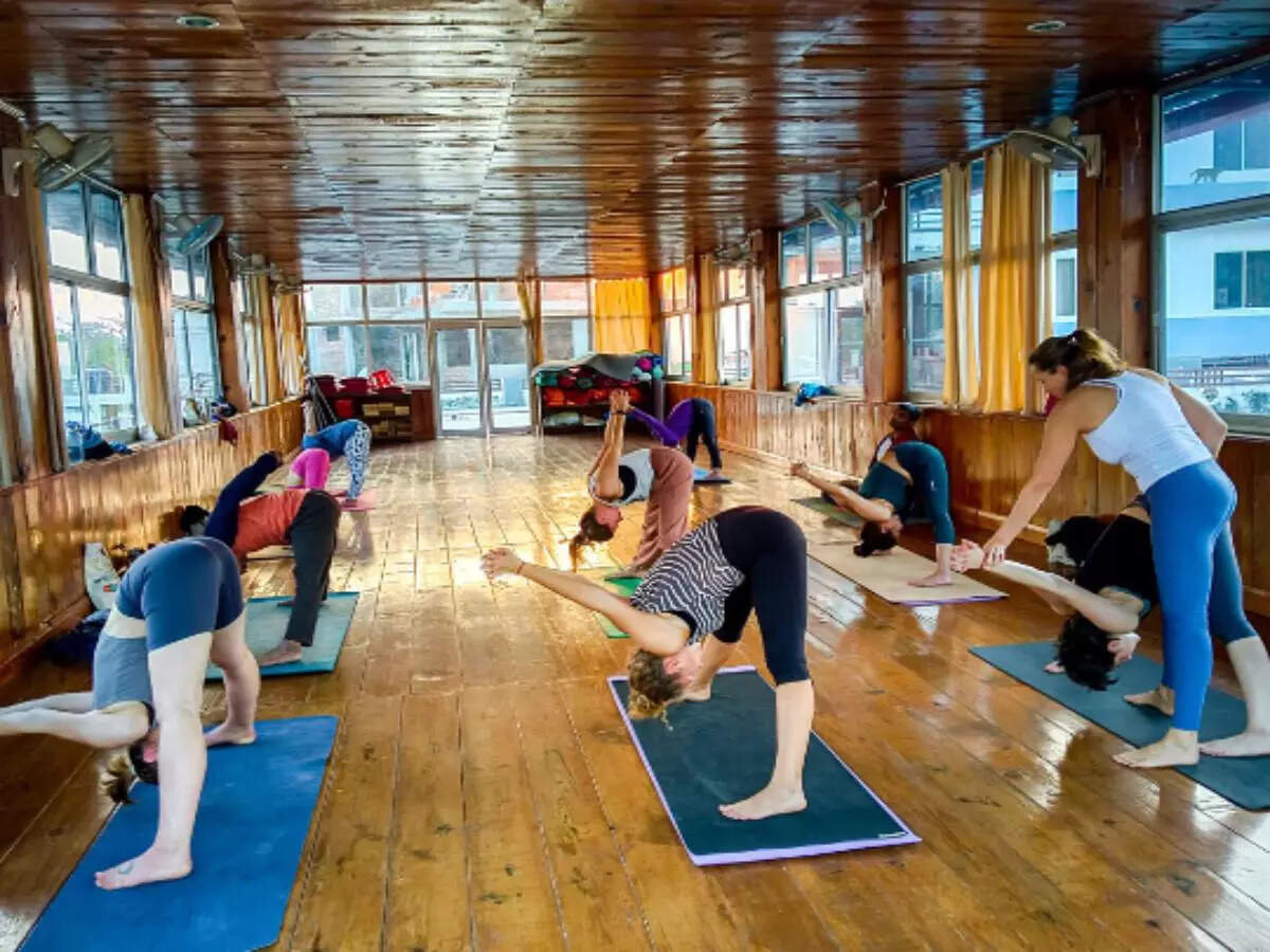 Discovering the top 10 yoga retreats in Rishikesh | Times of India Travel