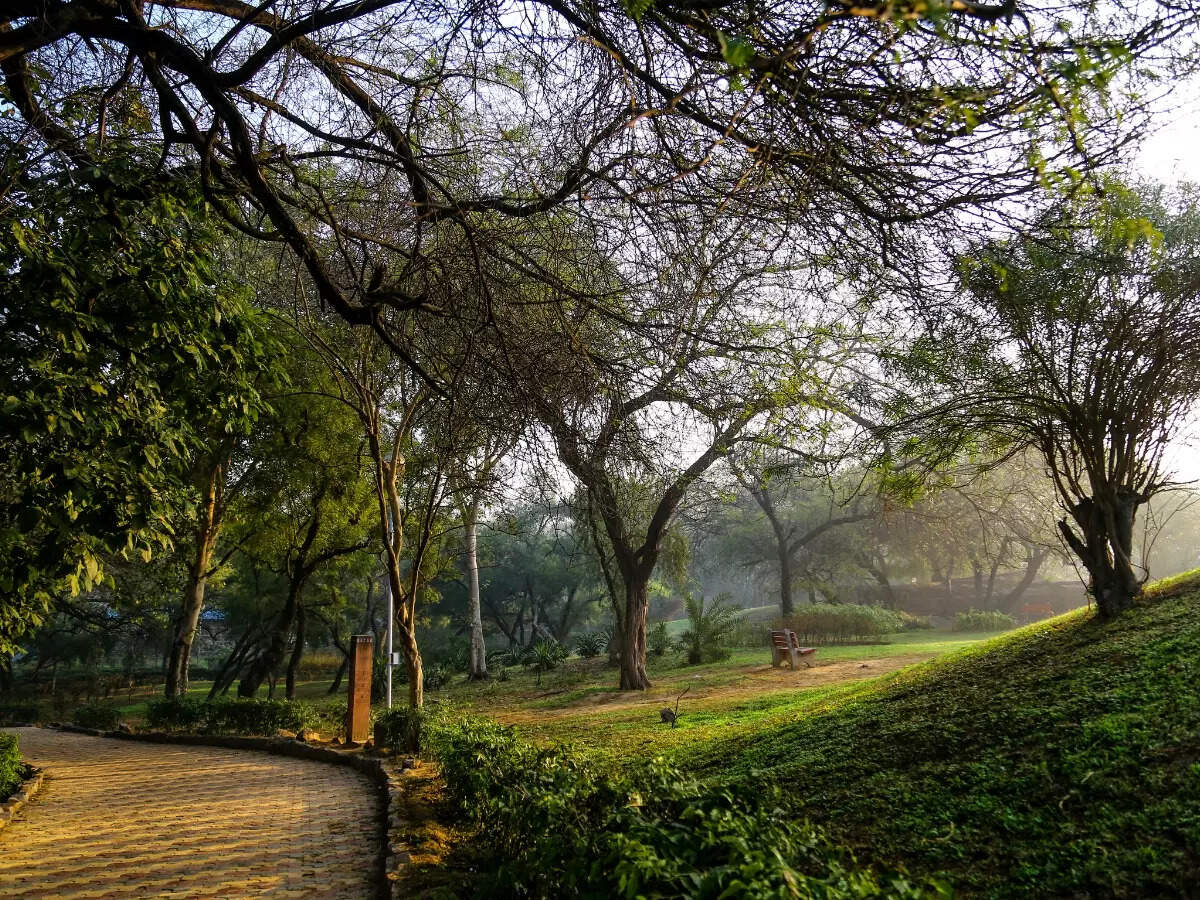 Exploring the magic of Delhi’s Mehrauli Archaeological Park | Times of ...