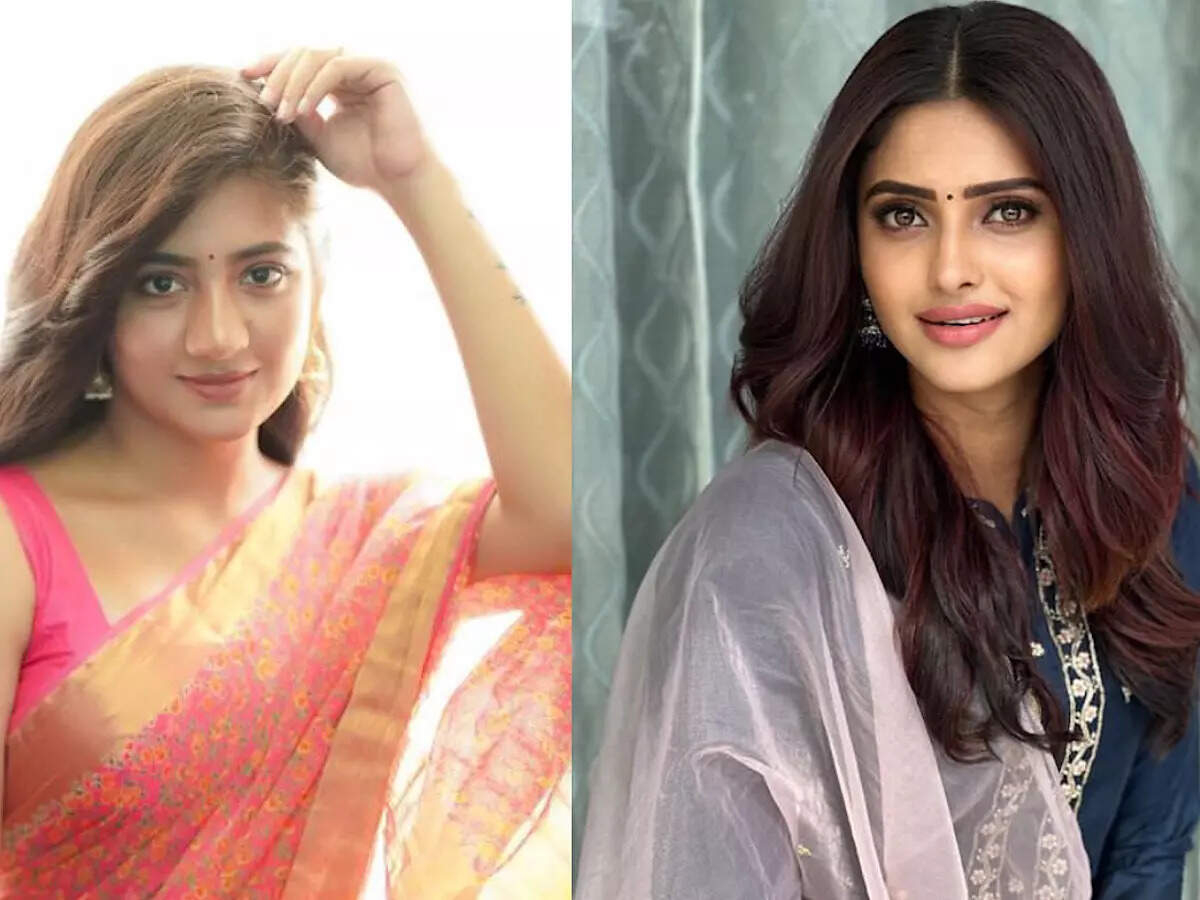 From Navin Kumar-Hima Bindhu to Vishnu-Aysha: On-screen jodis Tamil audience wish to see again