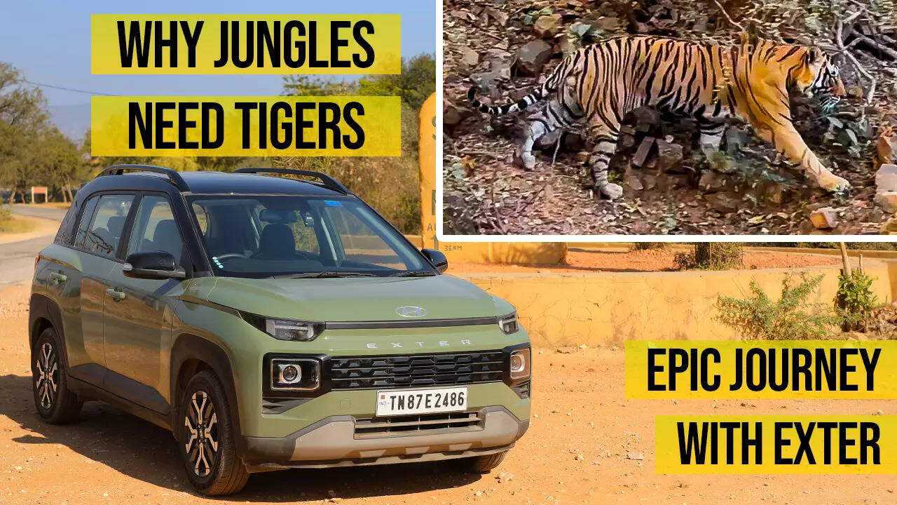 Hyundai Exter meets Tiger: Great India Drive 2023 | TOI Auto