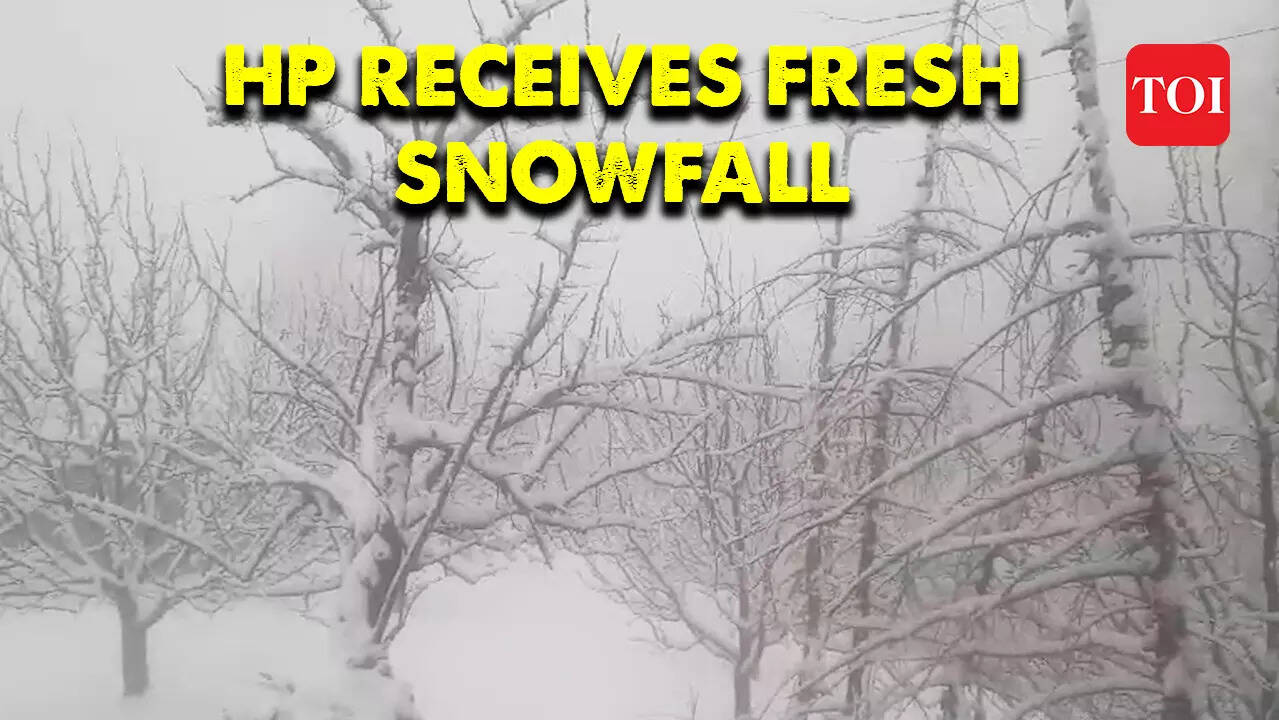 Higher reaches of Himachal Pradesh receive fresh snowfall