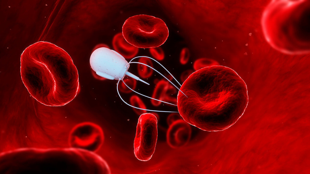 Injectable Nanobots, SlothBot and 9 other ‘cool’ robots; here's what ...
