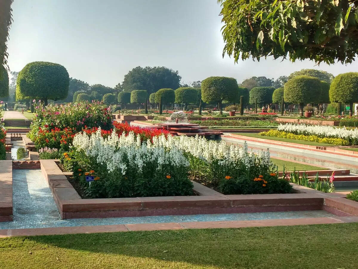 Rashtrapati Bhawan’s Udyan Utsav-I: Amrit Udyan now open for public ...