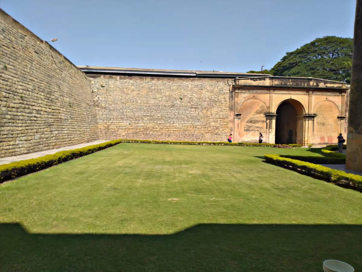 Top 10 free things to do in Bengaluru | Times of India Travel