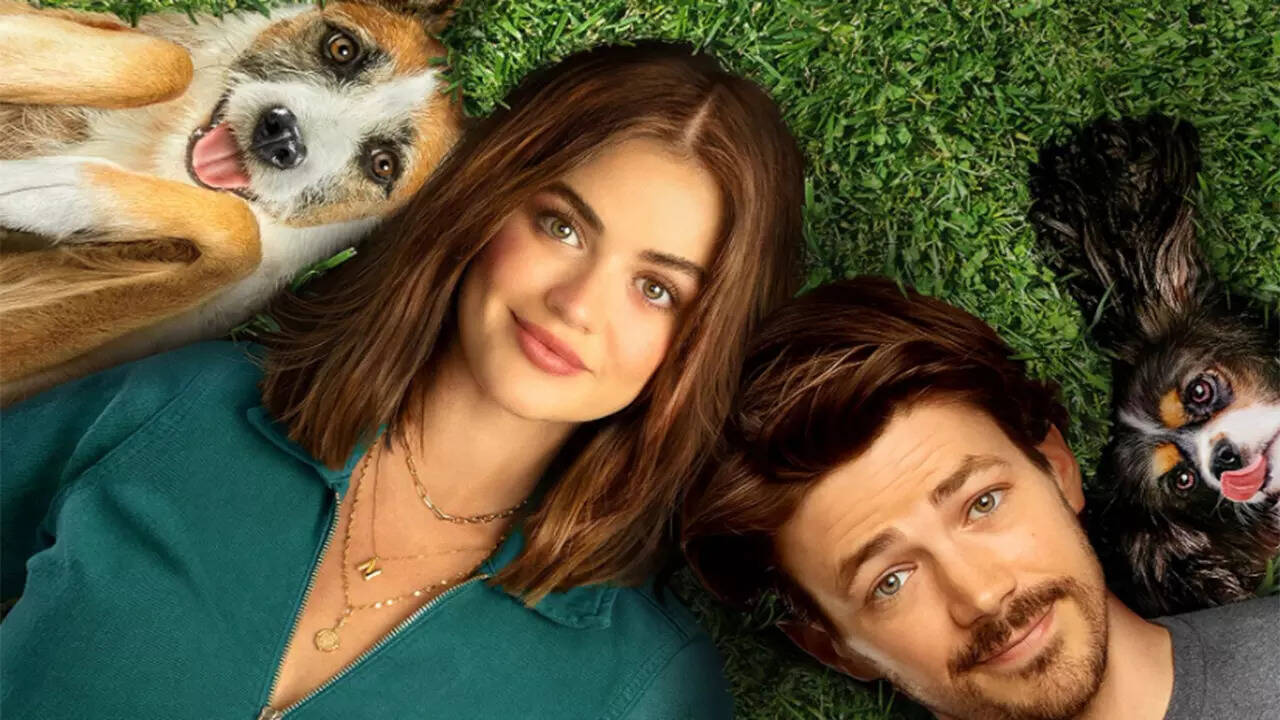 Puppy Love Movie 2024 | Review, Cast, Trailer, Posters, Watch Online at ...