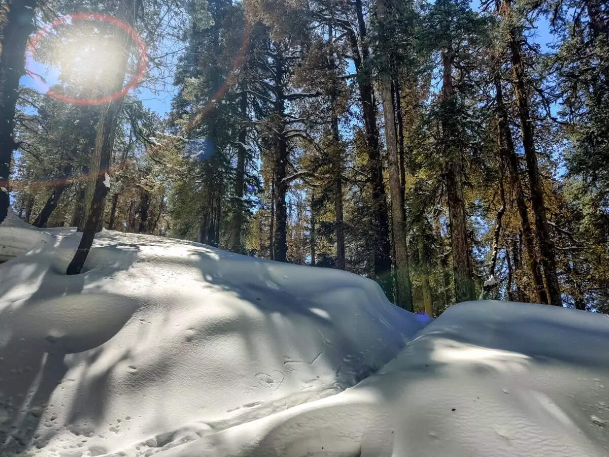 Dhanaulti: A lesser-known hill station in Uttarakhand, - Times of India ...