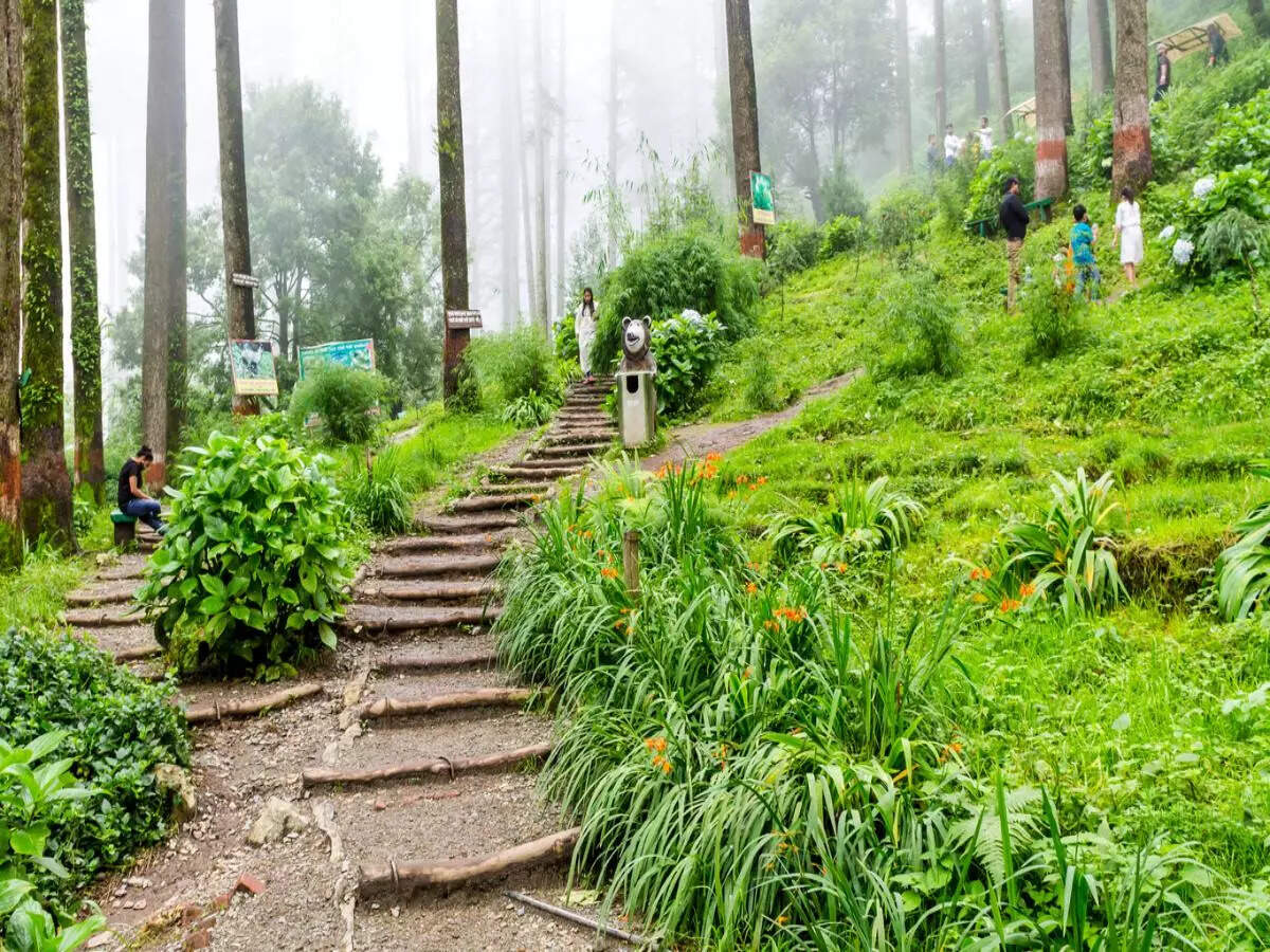 Dhanaulti: A lesser-known hill station in Uttarakhand, - Times of India ...