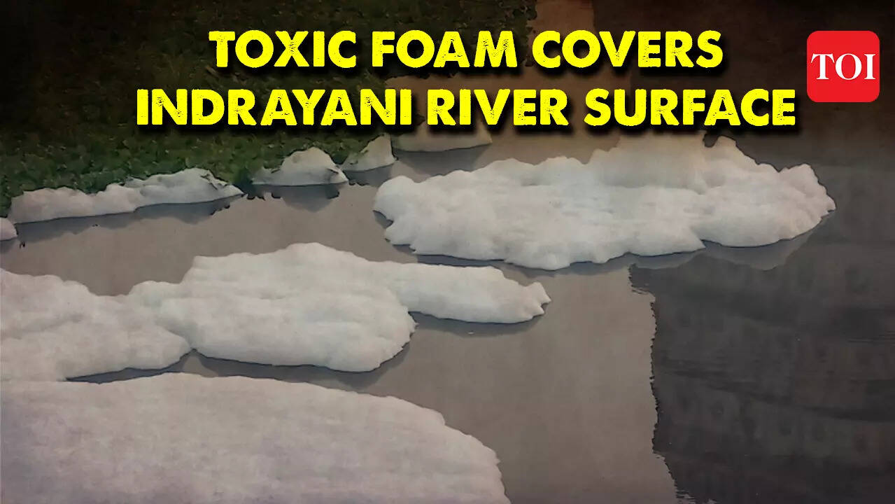 Thick layer of toxic foam floats on surface of Indrayani River in Pune