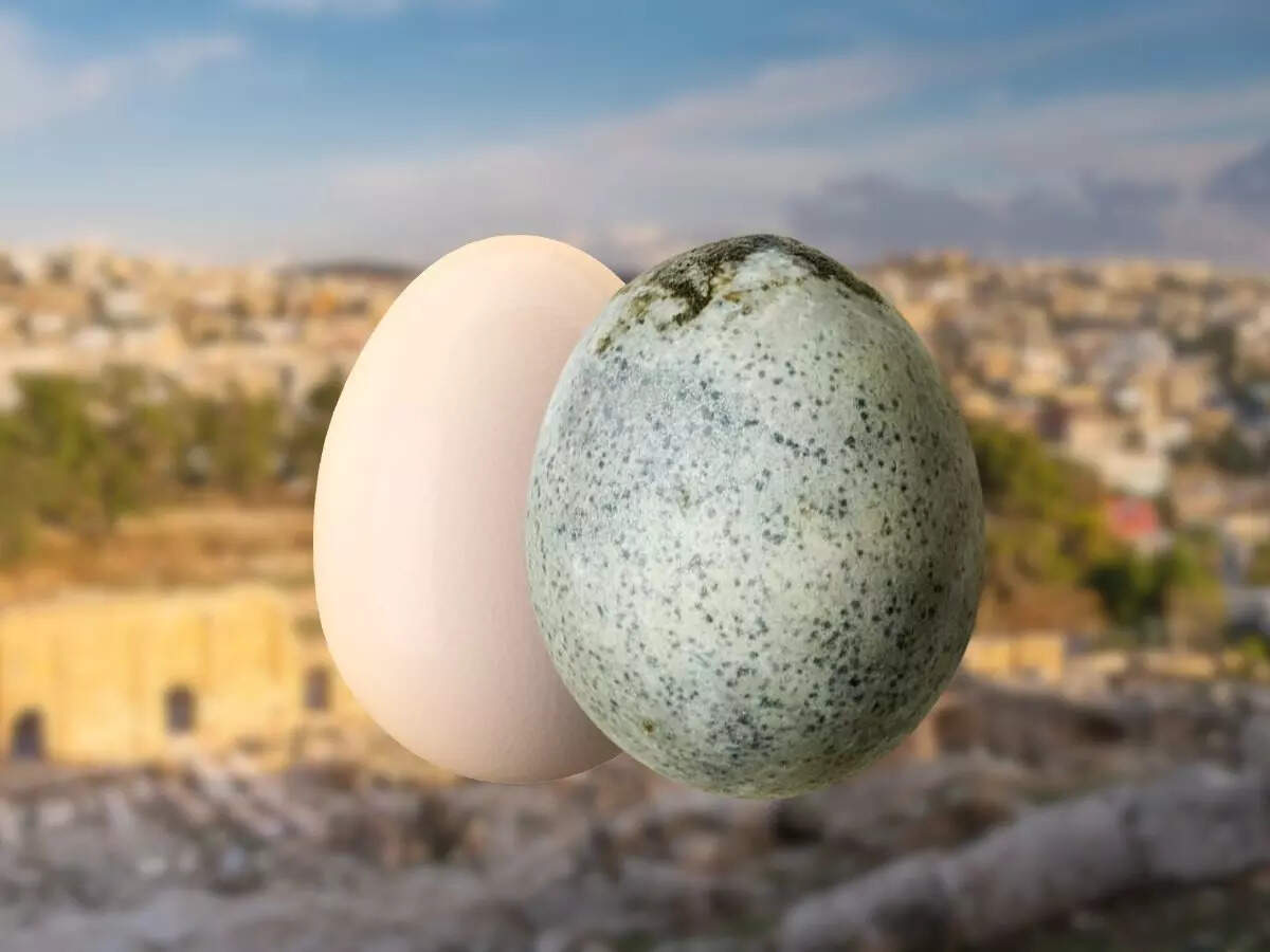What makes THIS 1700- year-old Roman Empire egg discovery unique