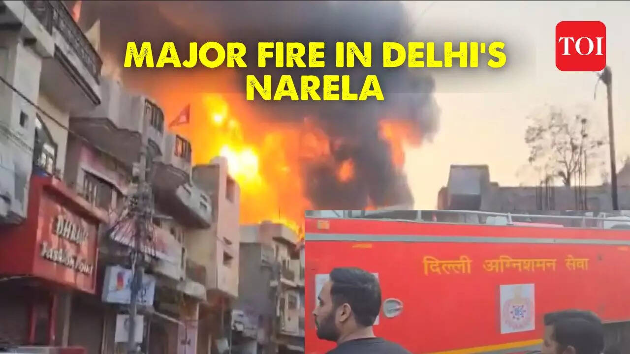 Delhi: Major fire breaks out in Narela's Bhorgarh Industrial Area