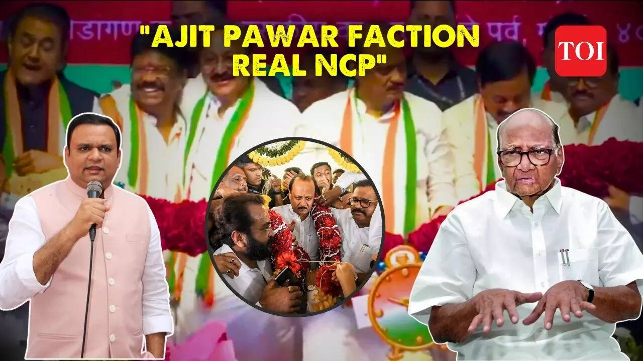 Maharashtra Assembly Speaker Rahul Narwekar: Decision of Ajit Pawar faction constituted 'will of ...